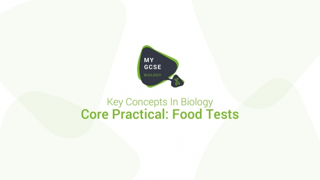 Core Practicals Biology Archives - My GCSE Science