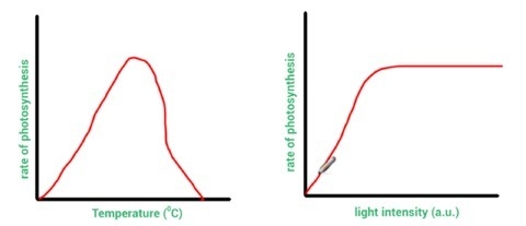 Describing, explaining and comparing graphs - My GCSE Science